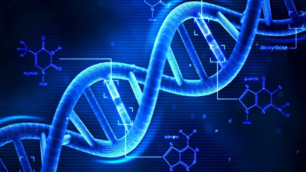 DNA data storage – Ravicharan